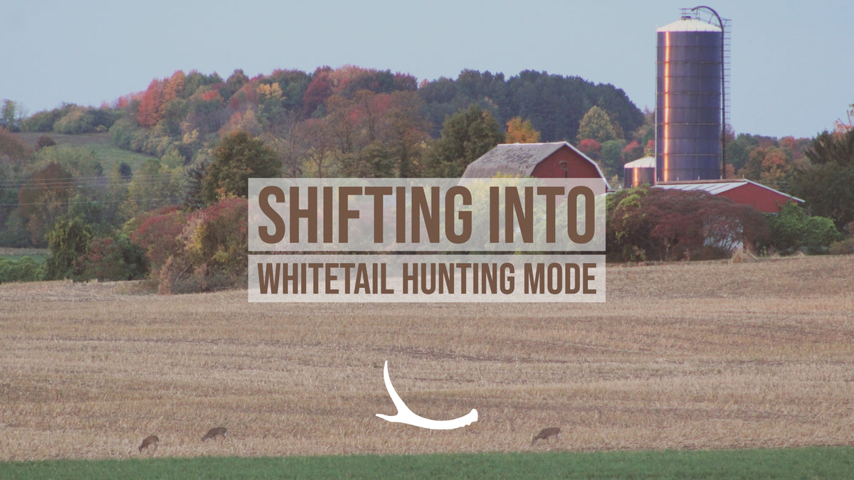 Patterning whitetails in September for bow hunting season – The Okayest Hunter