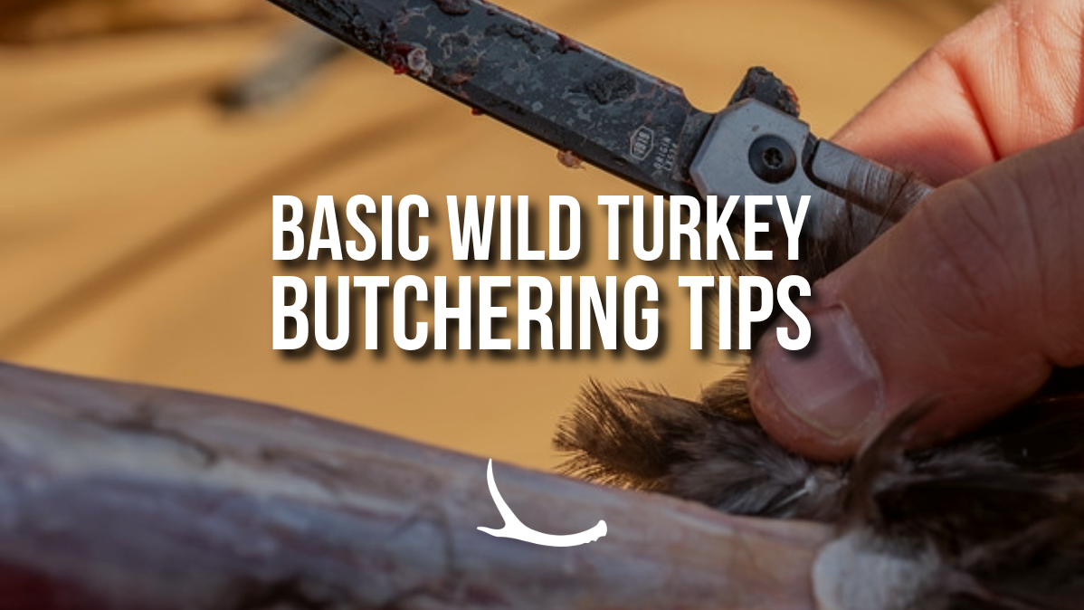 Basic Wild Turkey Butchering Tips – The Okayest Hunter