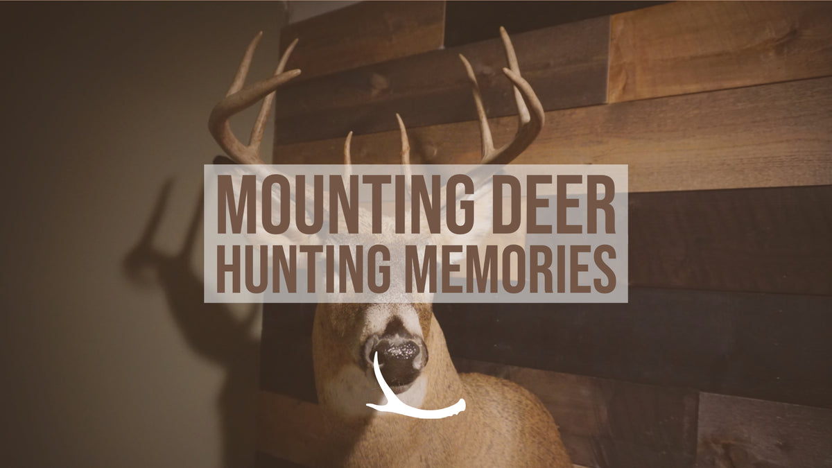 How should you preserve your deer hunting memories and pick a mount ...