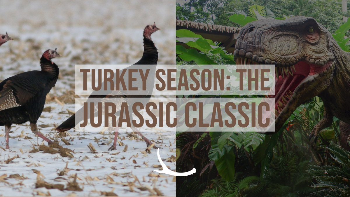 Hunting Turkey's is Basically Like Hunting Dinosaurs | Okayest Hunter ...