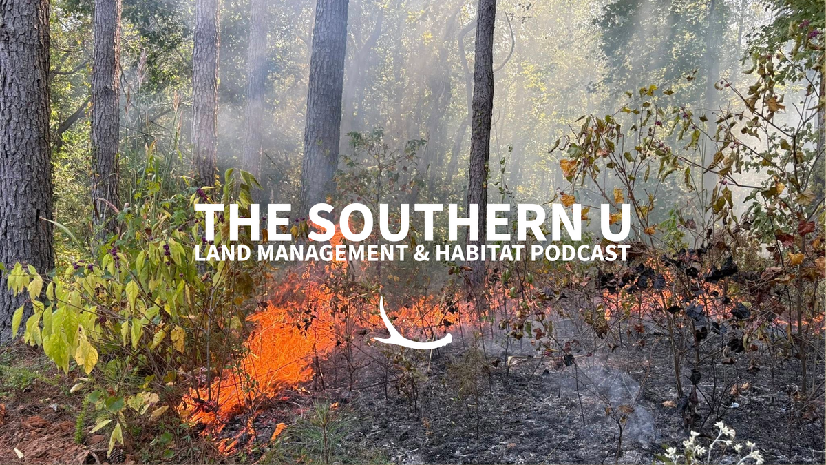 Land Management and Wildlife Biology Podcast from the Southern U – The ...