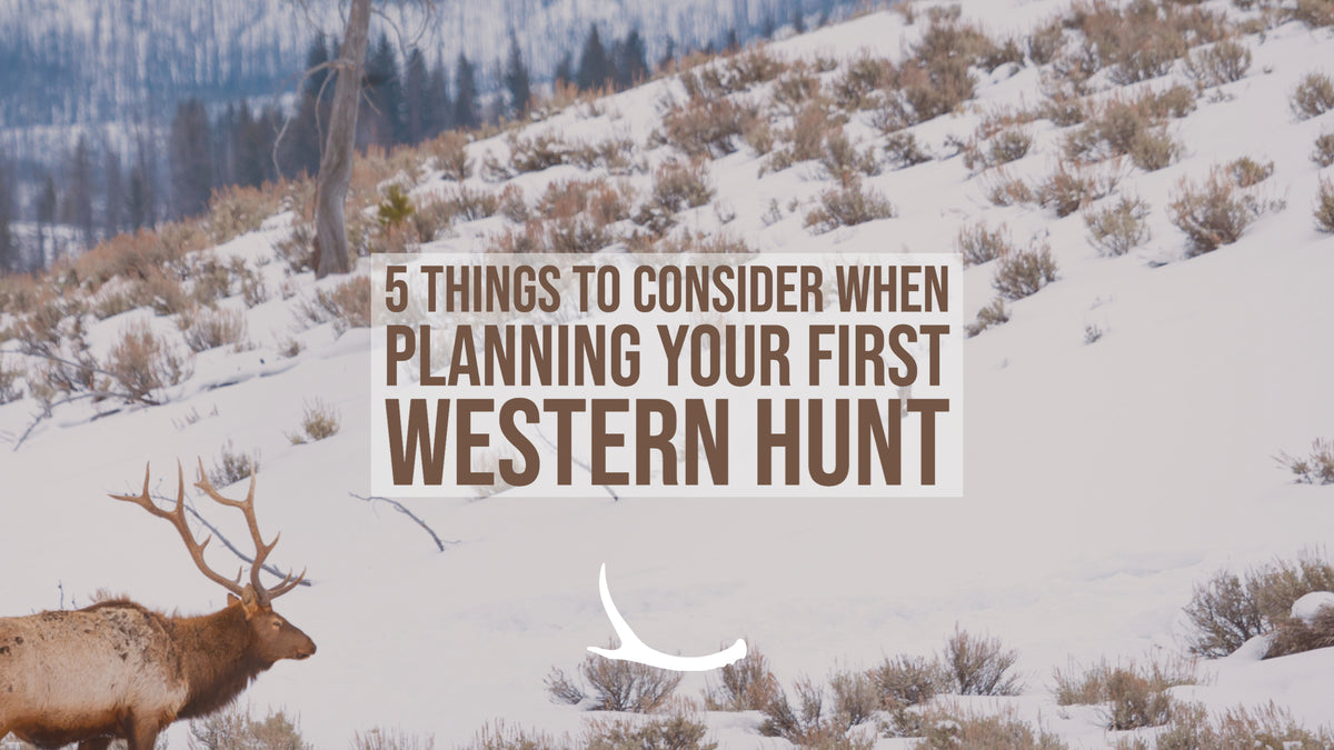 5 Things To Consider When Planning Your First Western Hunt – The ...